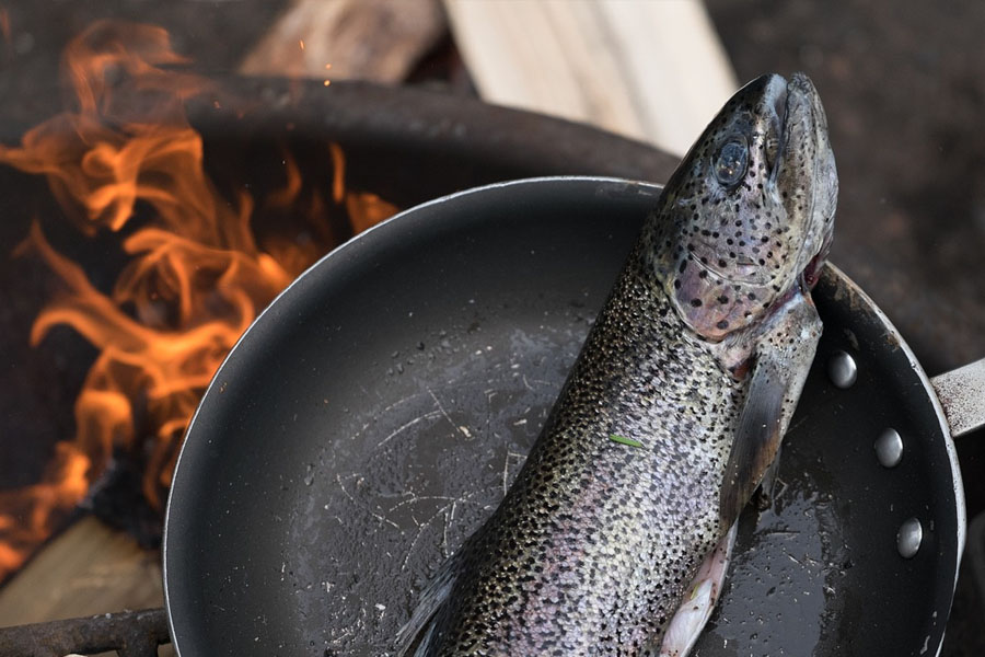 Vis fileren als een echte pro? Kies voor een kwalitatief visfileermes